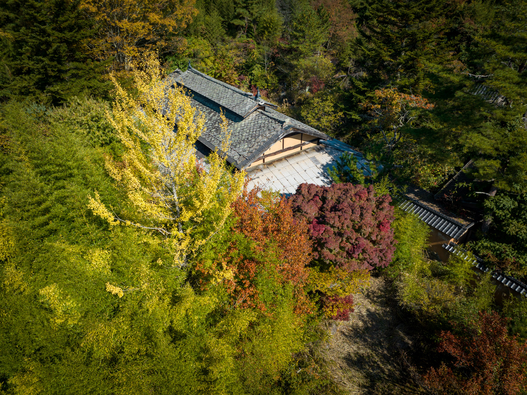 Noh Theater | 廃墟 • 日本の廃墟